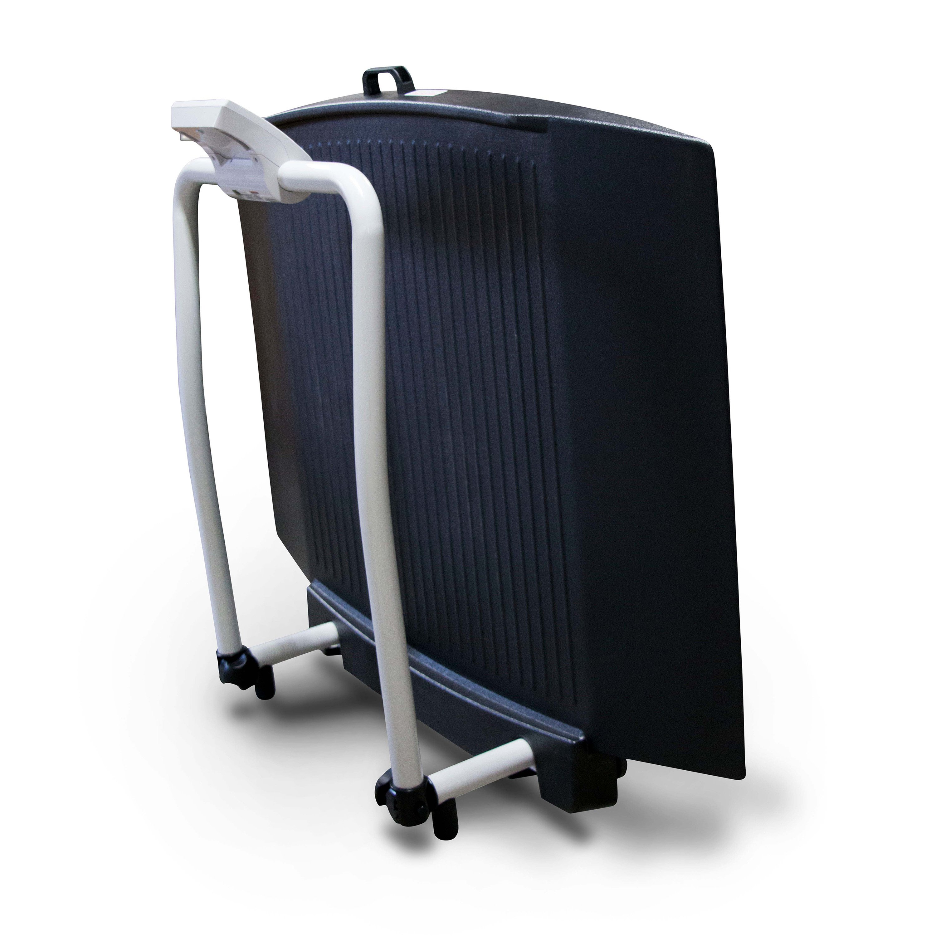 Rice Lake Dual-Ramp Wheelchair Scale with Integrated Handrail