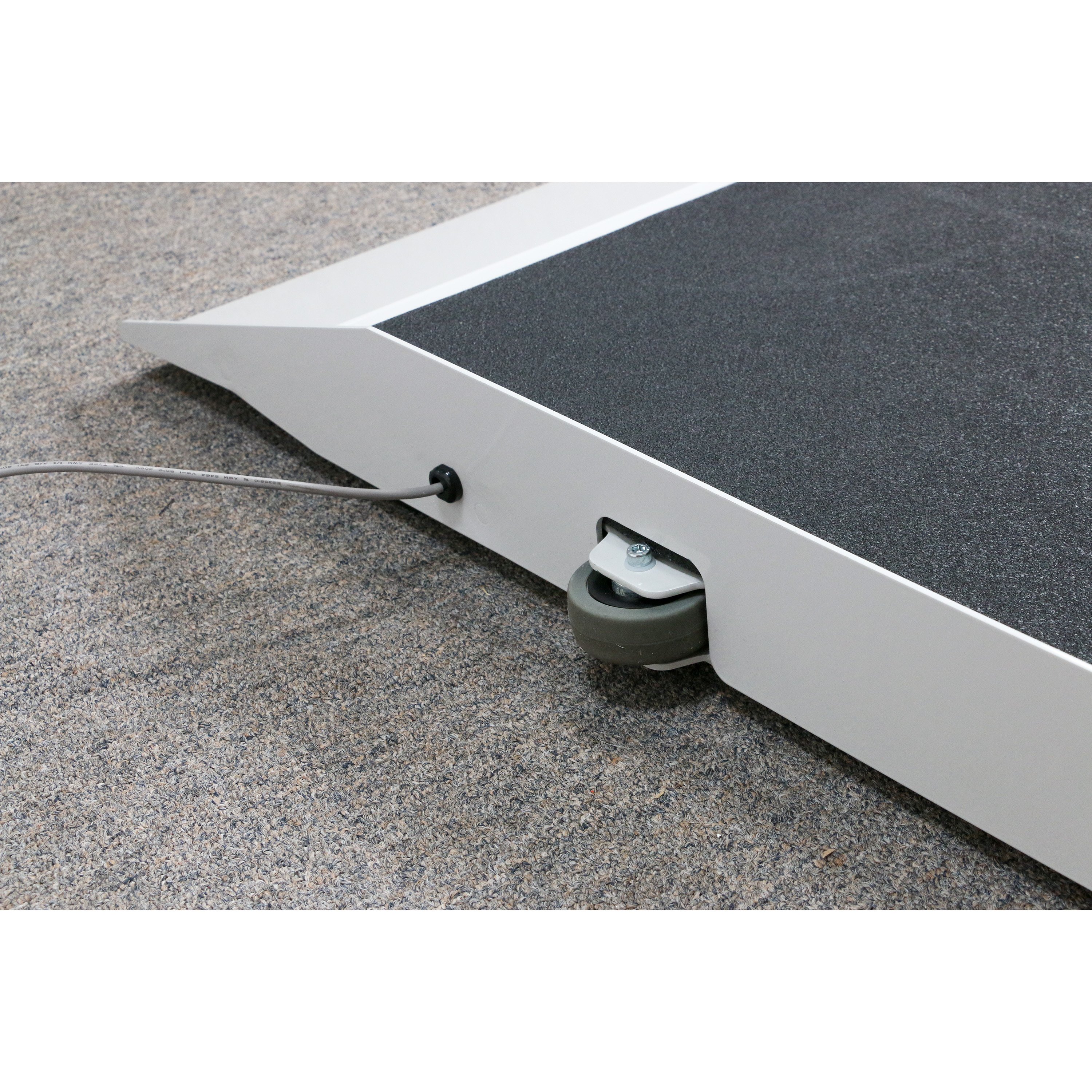 Rice Lake 203622 & 203623 Digital Stretcher Scale