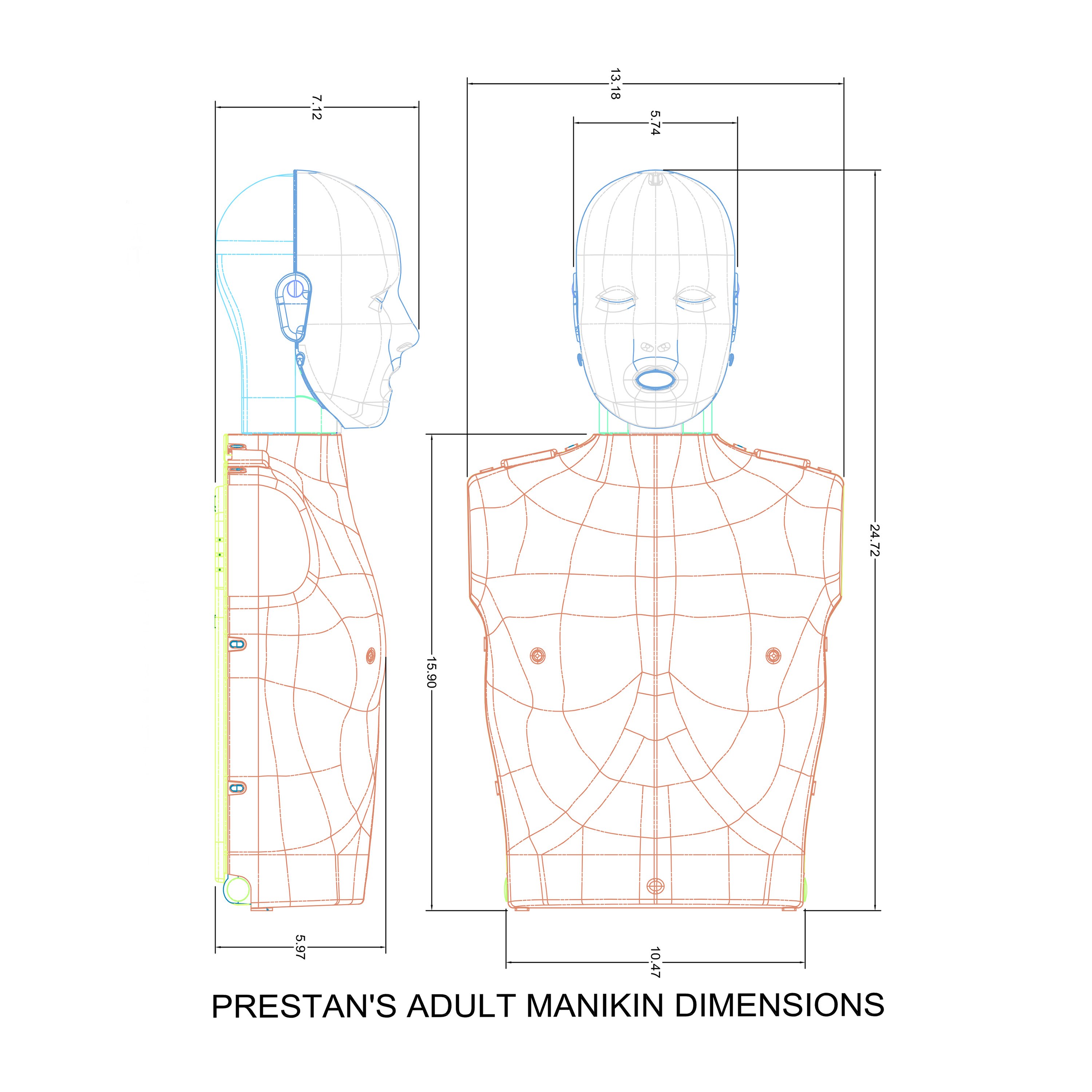 Prestan PP-AM-400M-MSDS Professional Manikin, Diversity Kit