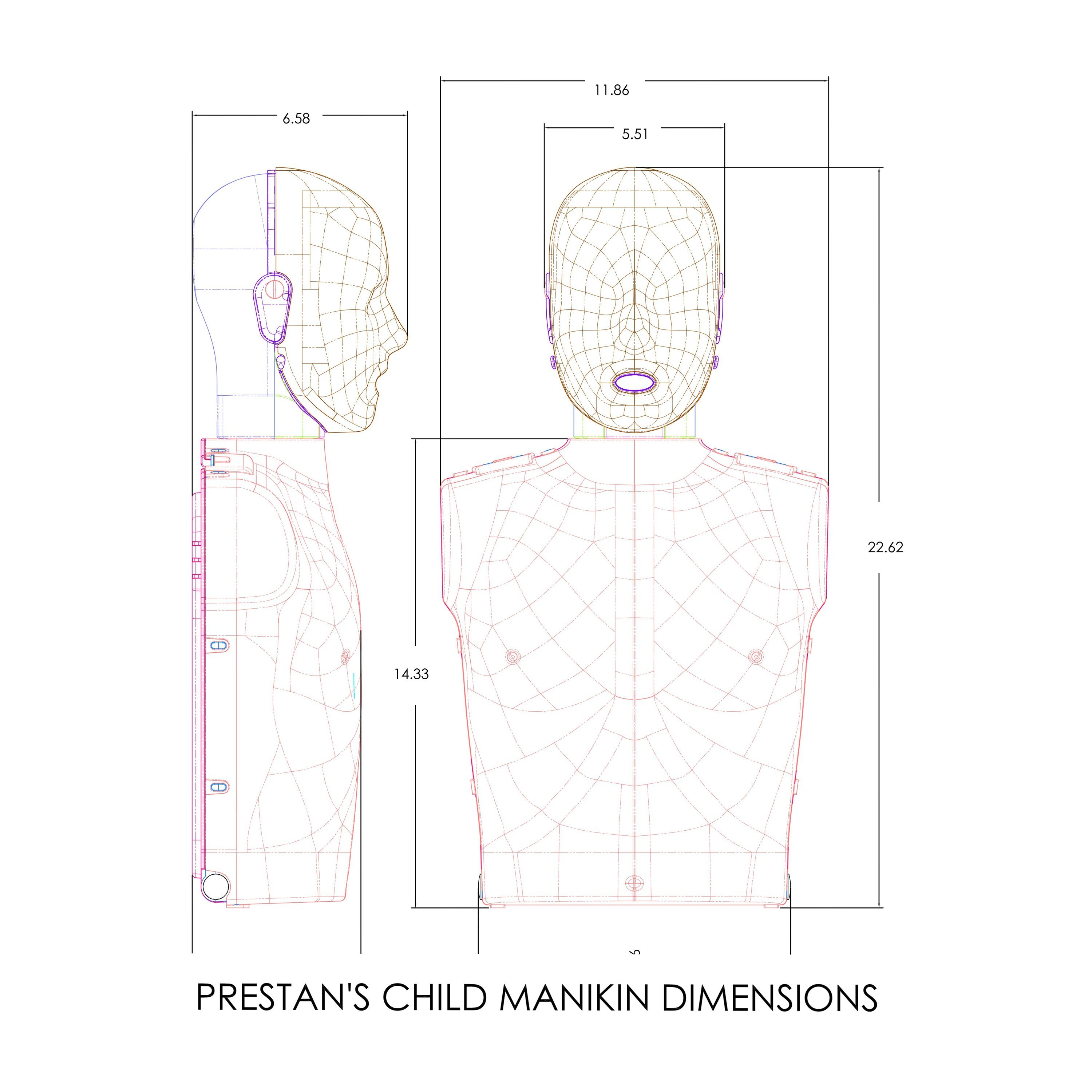Prestan PP-FM-300M Professional Manikin with CPR Feedback, Collection