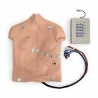 101-081FB Simulaids Adult ALS Trainer with Two Arms